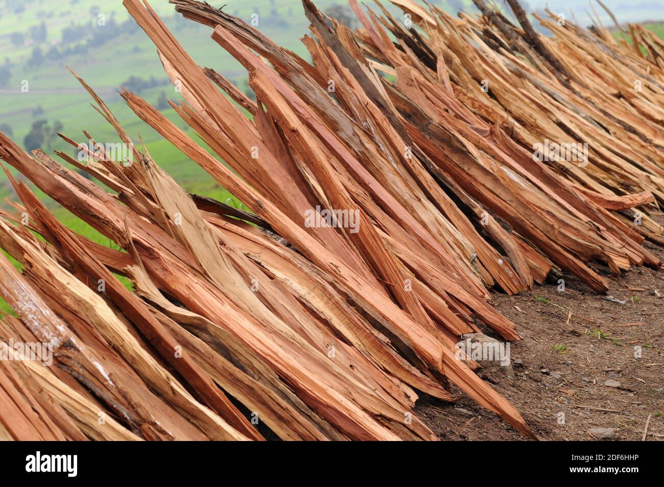 African national park hi-res stock photography and images - Alamy
