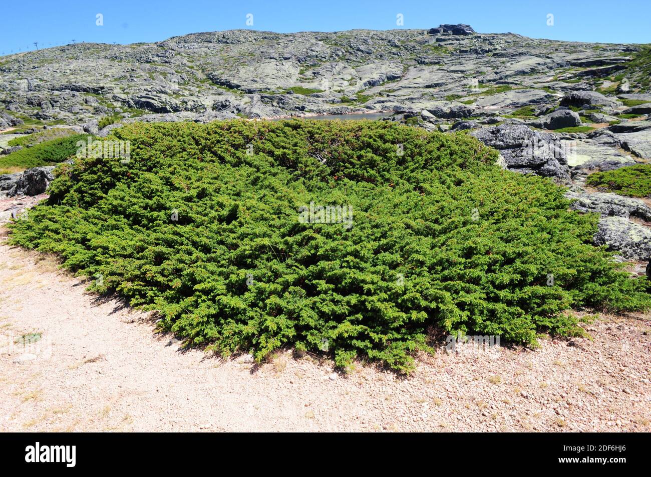 Subarctic North America High Resolution Stock Photography and Images ...