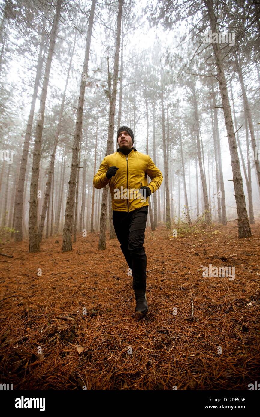 Handsome young man running in autumn forest and exercising for trail ...