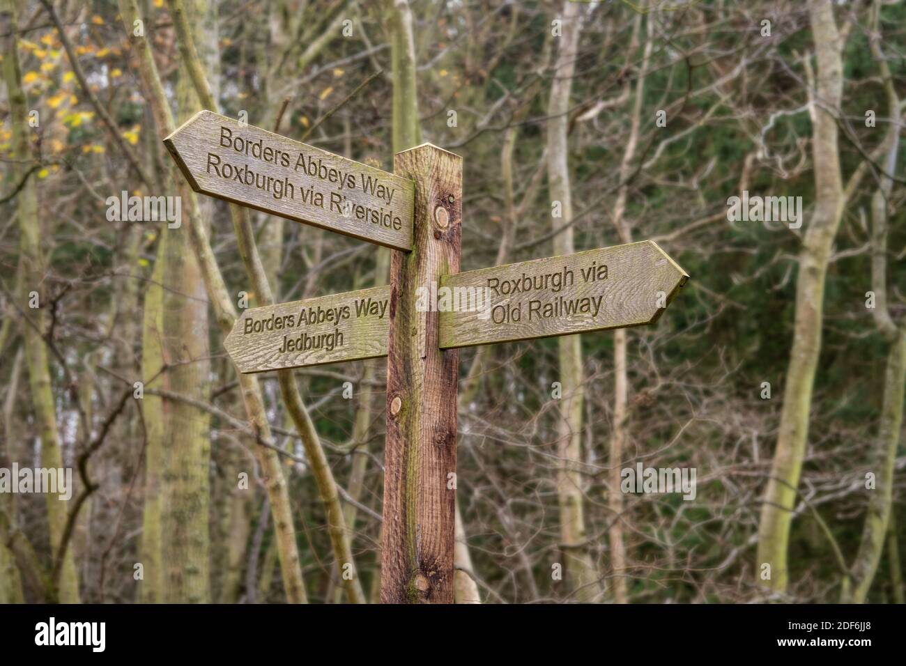 Long borders hi-res stock photography and images - Alamy