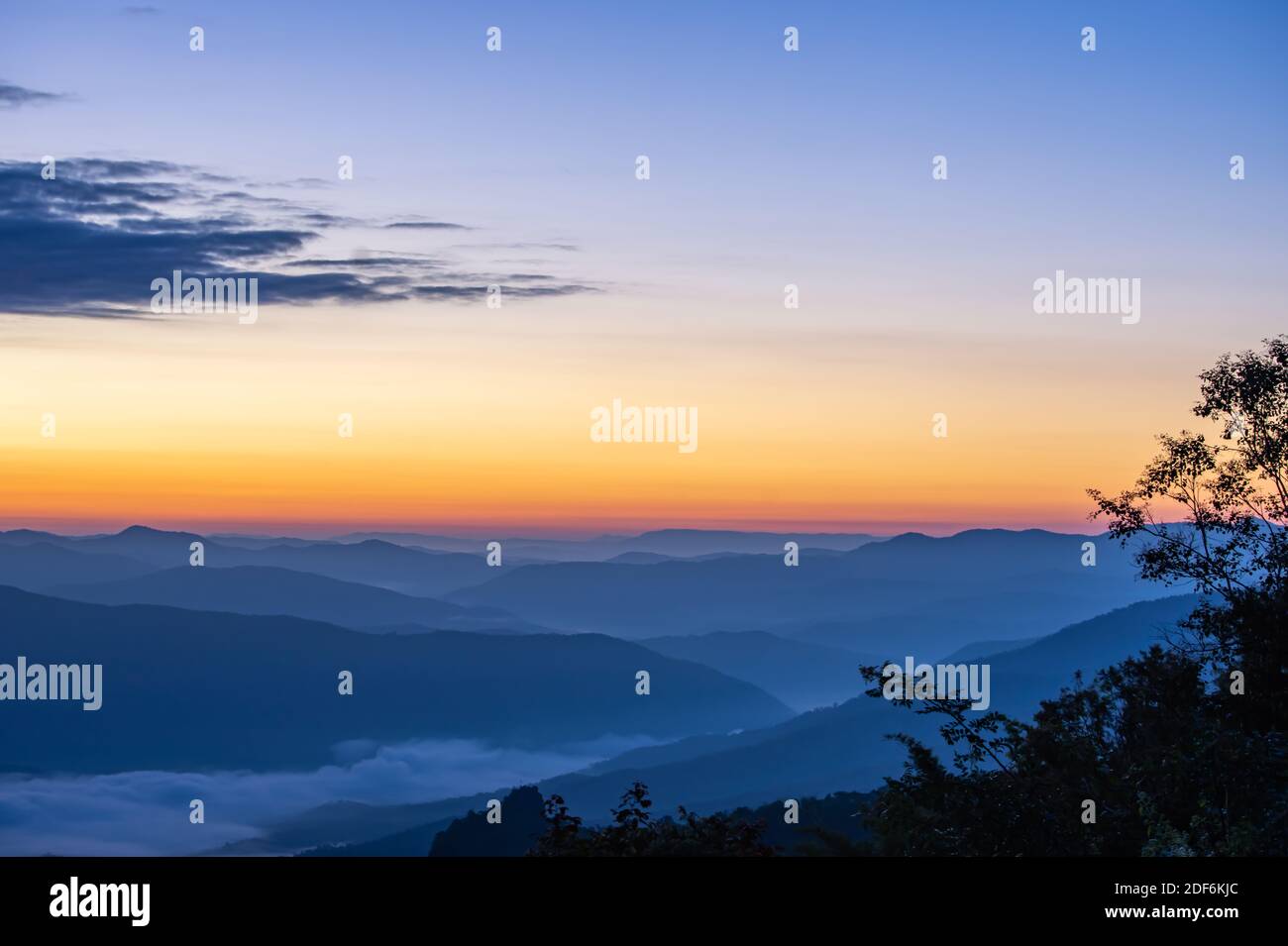 Samer tree hi-res stock photography and images - Alamy