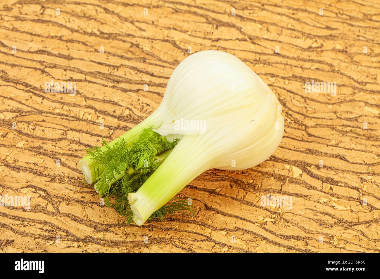 Organic vegan food - fennel root for cooking Stock Photo - Alamy