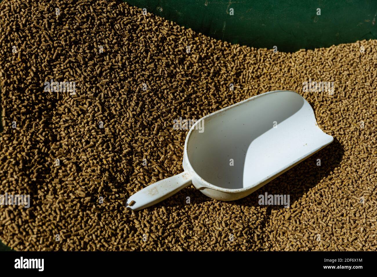 A closeup of a white shovel on the building material Stock Photo - Alamy
