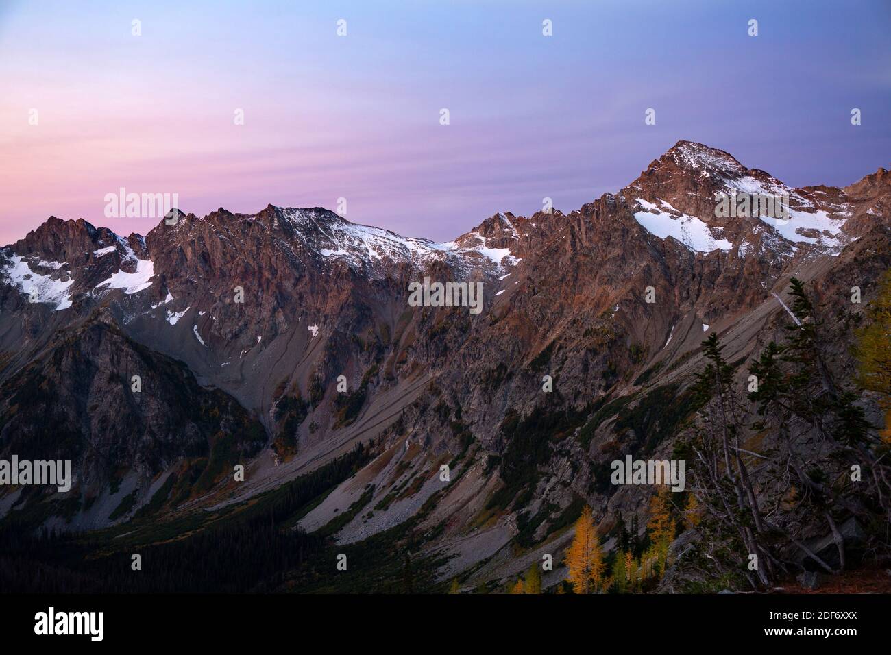 Trees smoke hi-res stock photography and images - Alamy