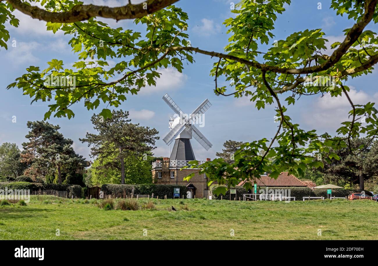 The Windmill on Wimbledon Common London UK Stock Photo - Alamy