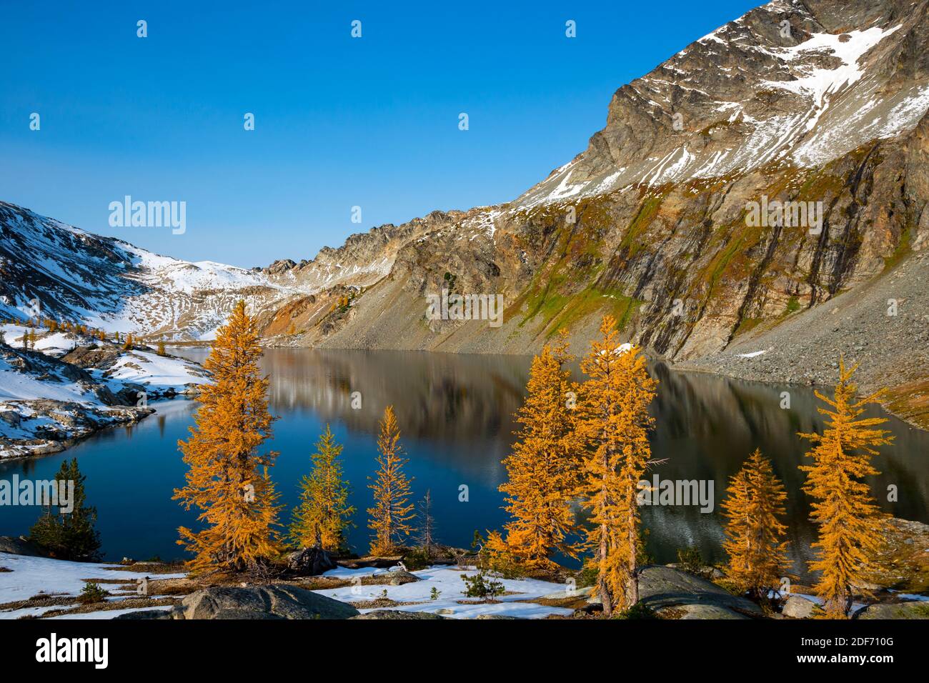 WA18660-00...WASHINGTON - Subalpine larch in fall color at Upper Ice ...