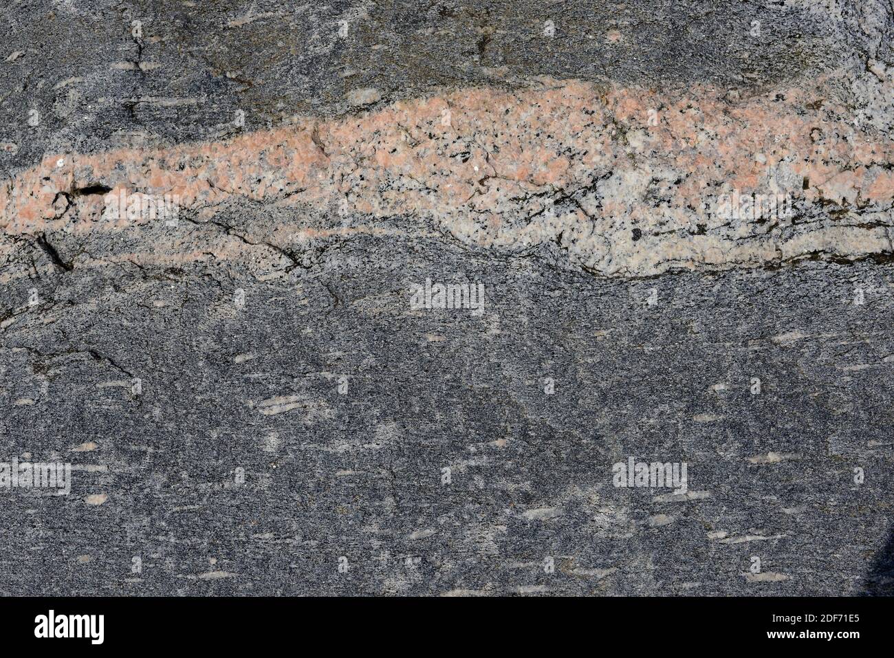 Pegmatite Veins
