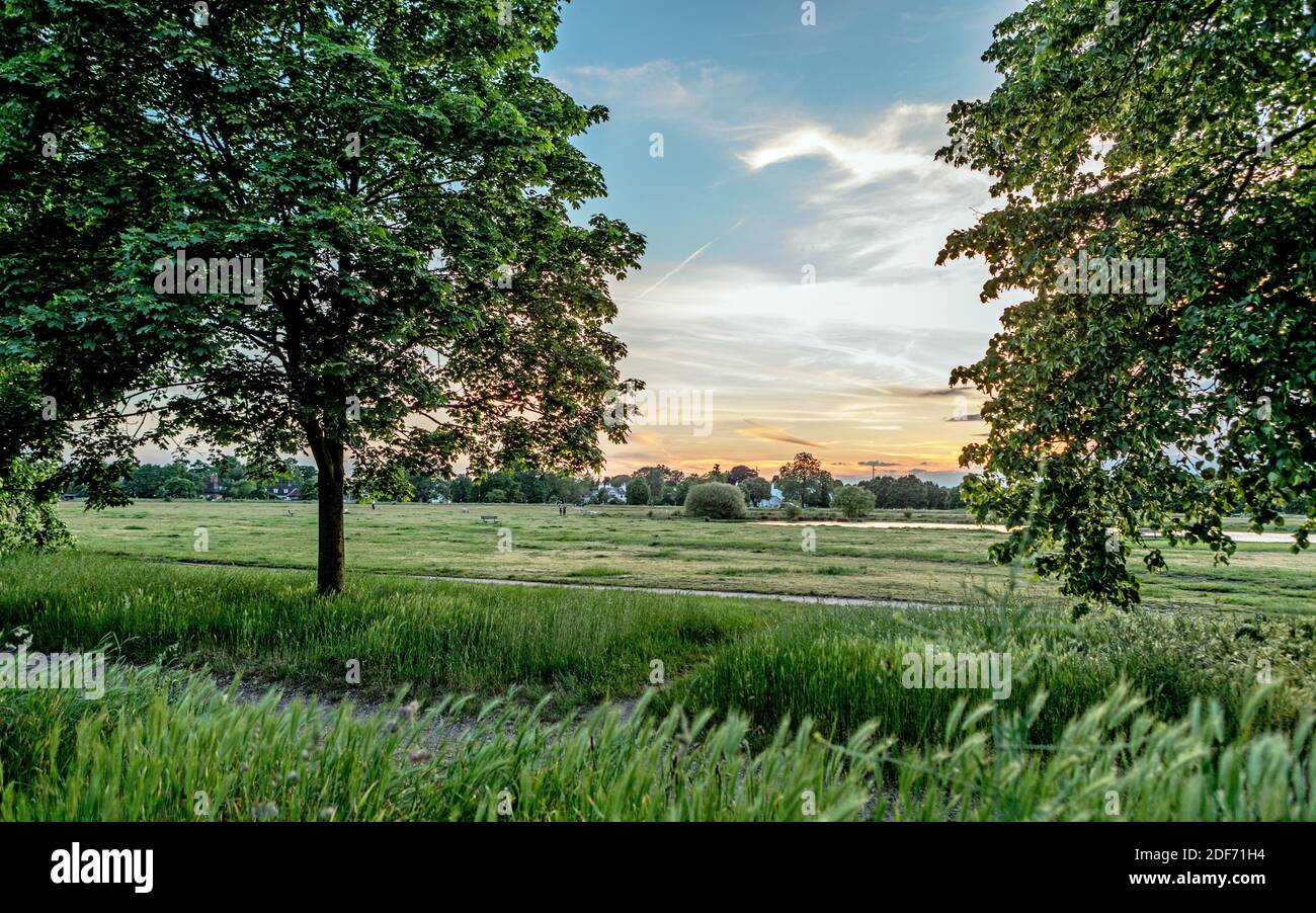 Wimbledon common hi-res stock photography and images - Alamy