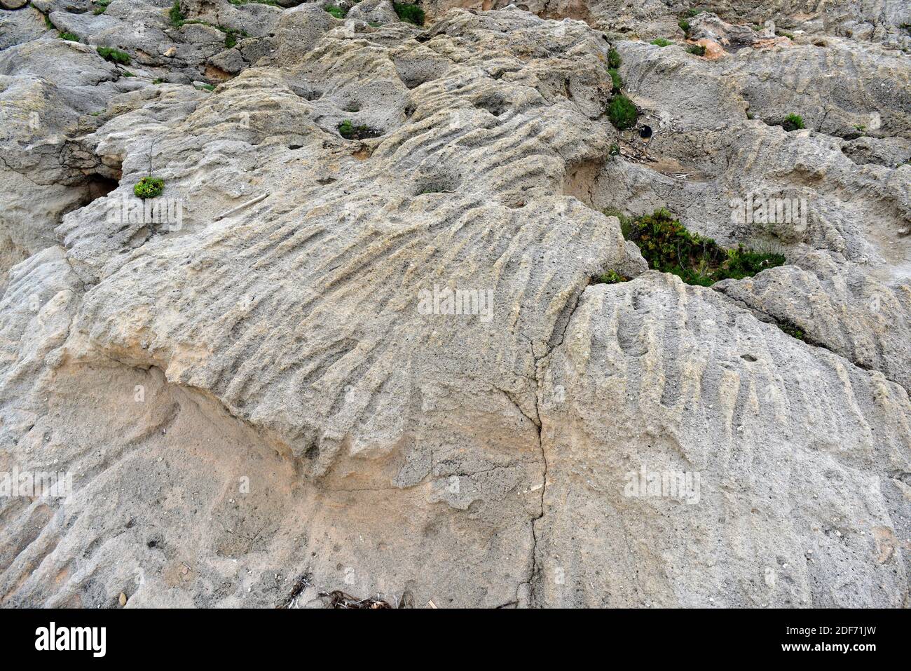 Karren formation hi-res stock photography and images - Alamy