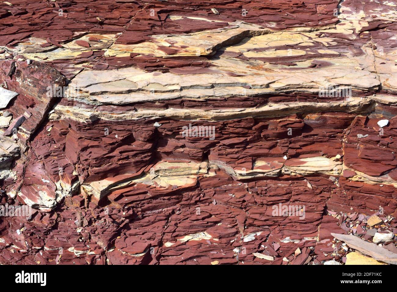 Red pelite hi-res stock photography and images - Alamy