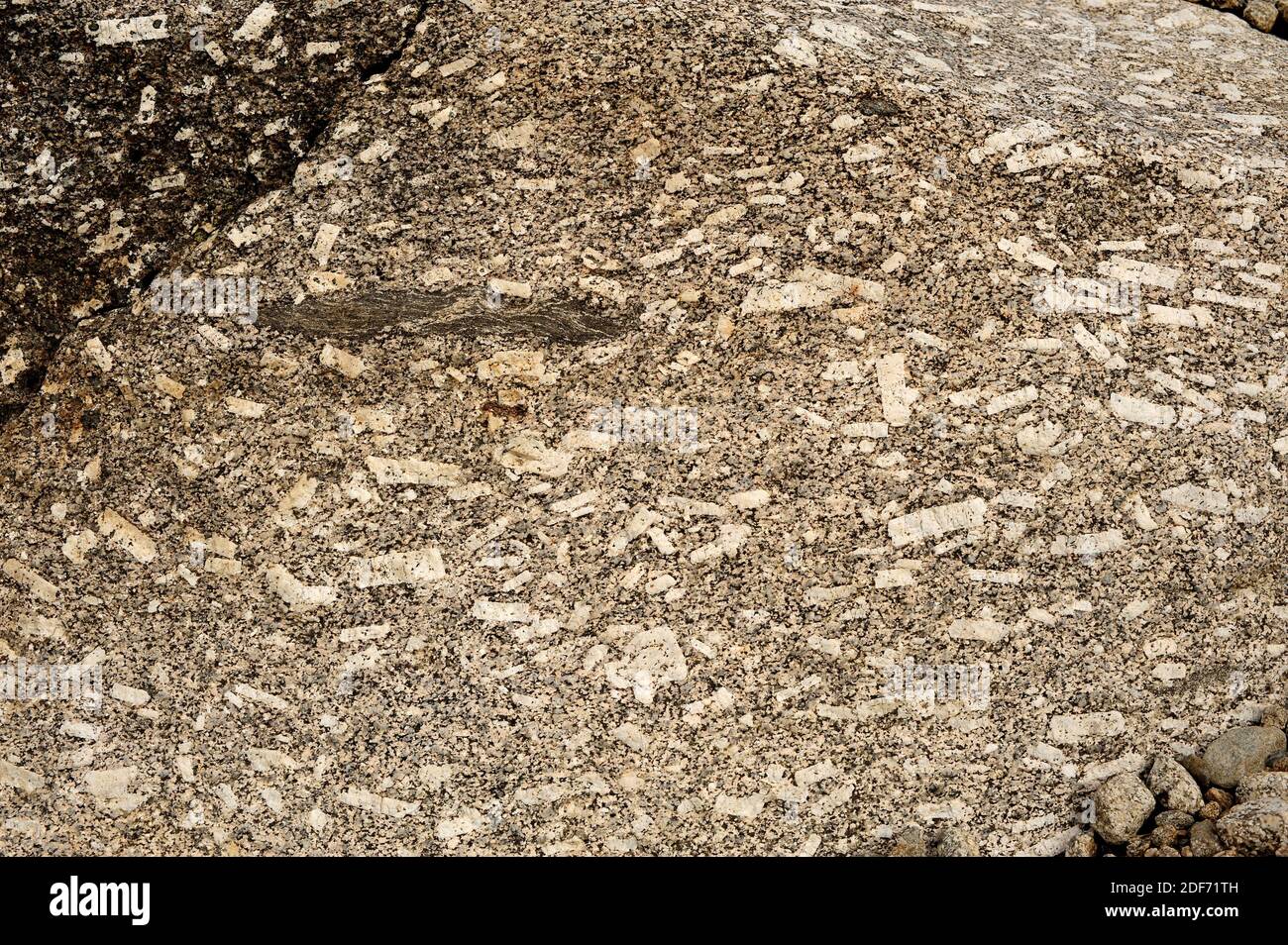Phenocryst hi-res stock photography and images - Alamy