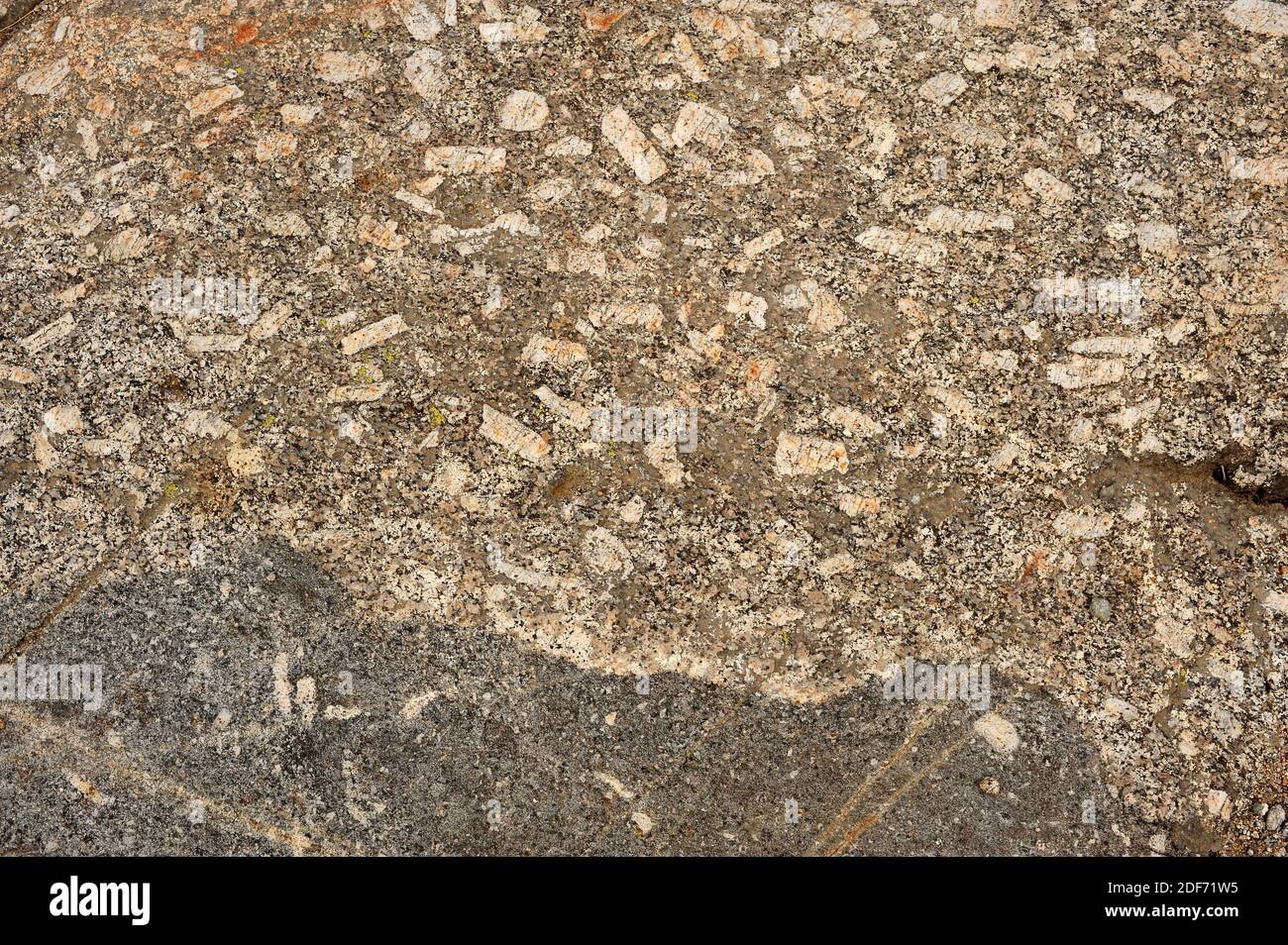 Phenocryst High Resolution Stock Photography and Images - Alamy