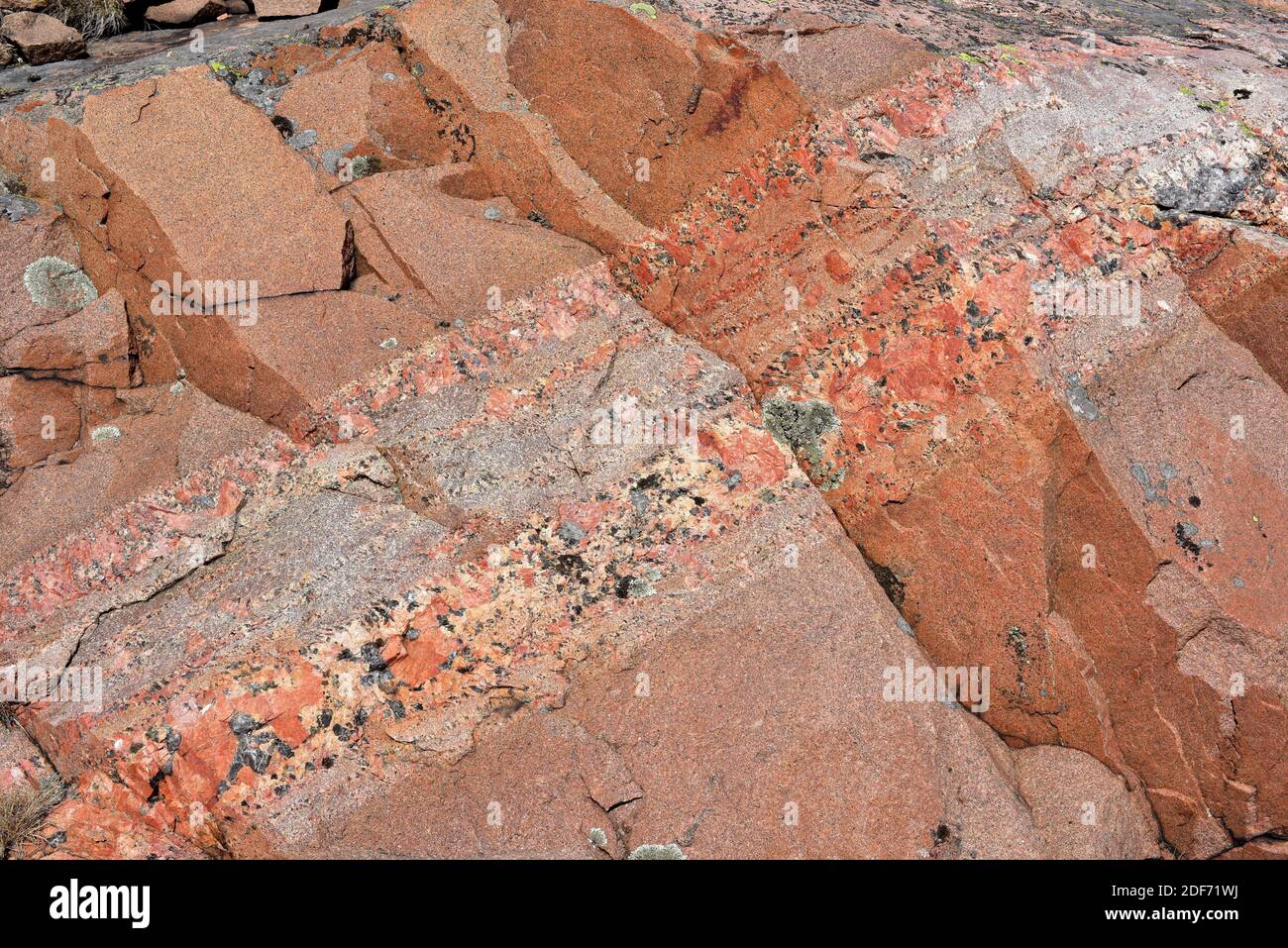 Igneous rock vein hi-res stock photography and images - Alamy