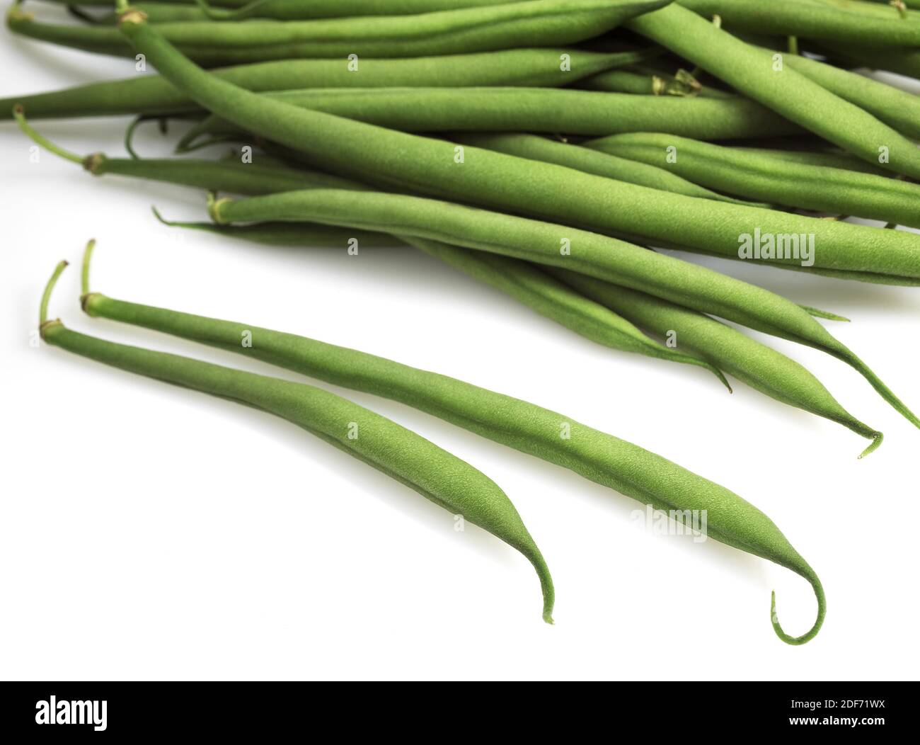 Green Beans or French Beans, phaseolus vulgaris, Vegetable against ...