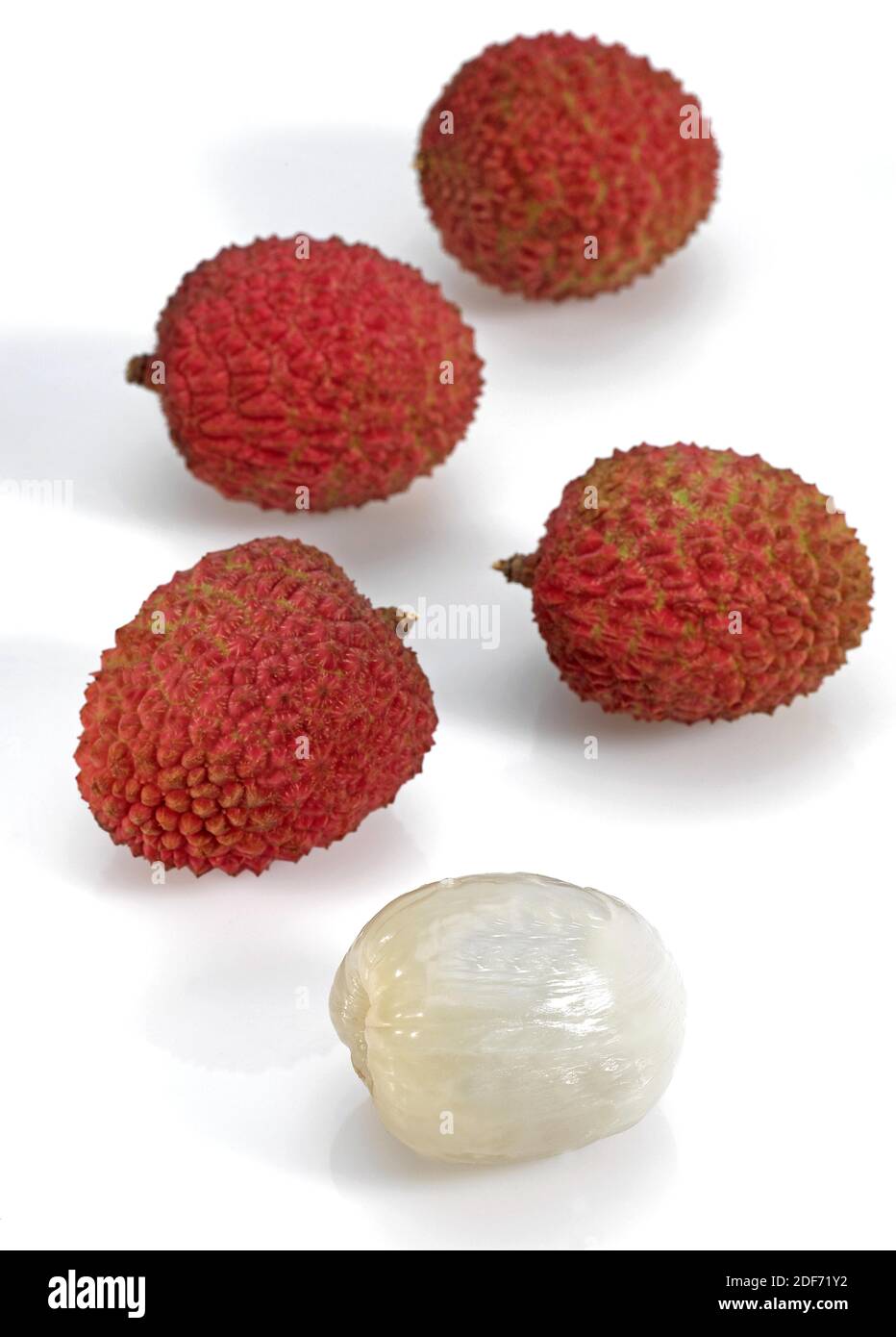 Litchi or Litchee, litchi sinensis, Exotic Fruits against White ...