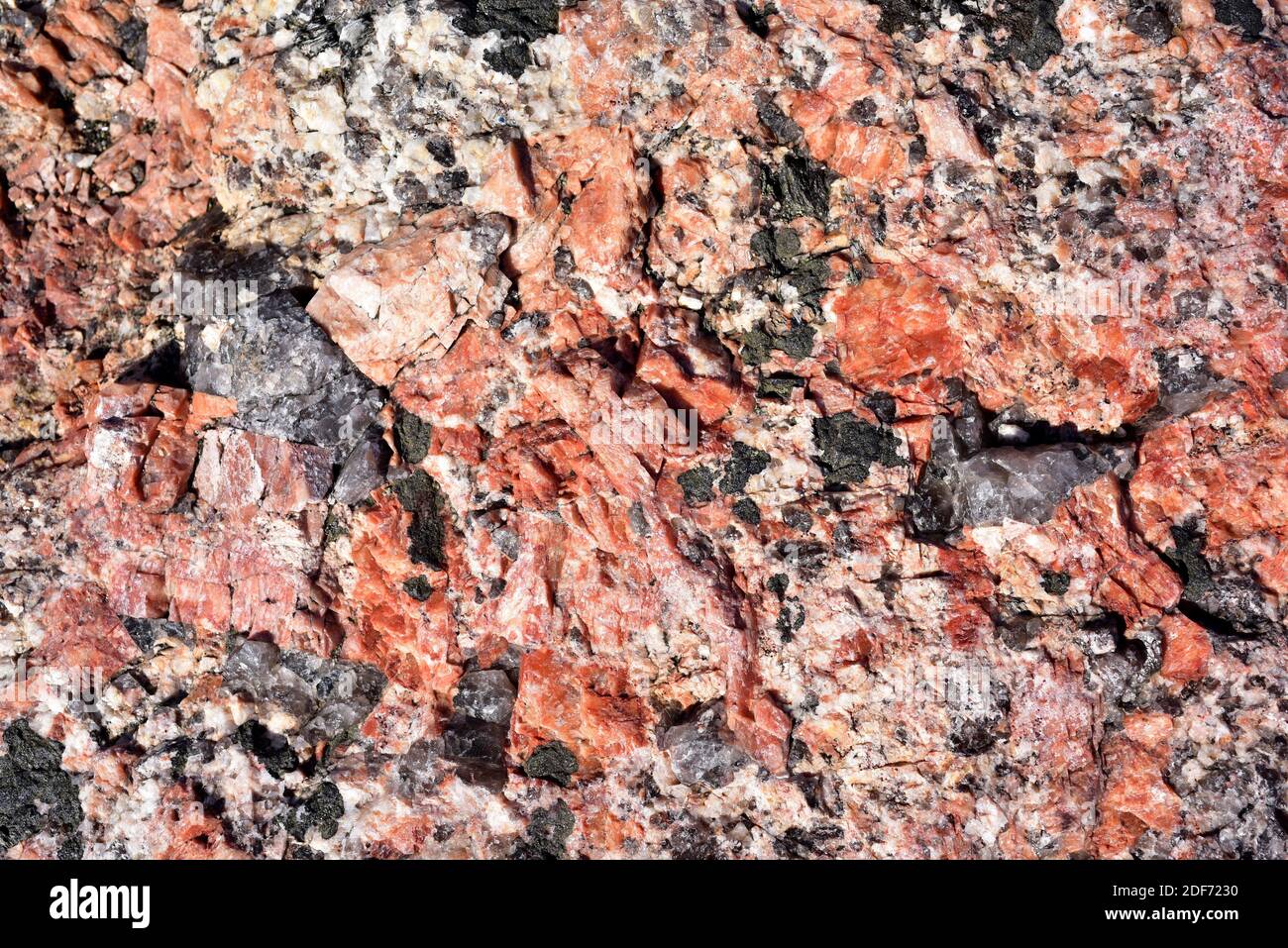 Alkali Feldspar Granite