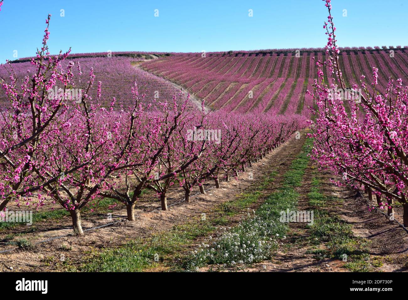 Many regions of the world hi-res stock photography and images - Alamy