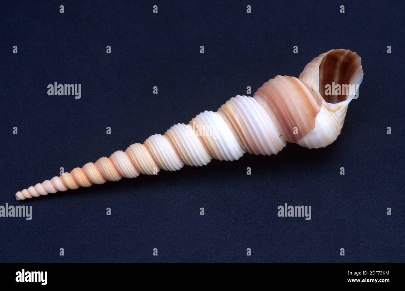 Sample nature hi-res stock photography and images - Alamy