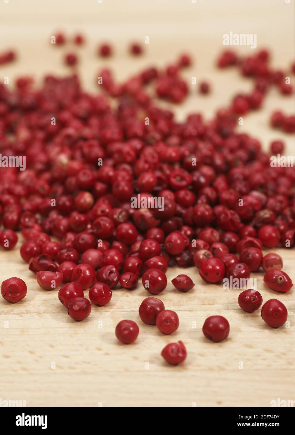 Pink Pepper, schinus terebinthifolius, Berries Stock Photo - Alamy