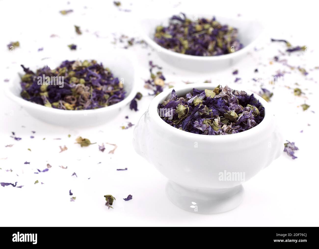 Dry Mallow Flower for Infusion Stock Photo - Alamy