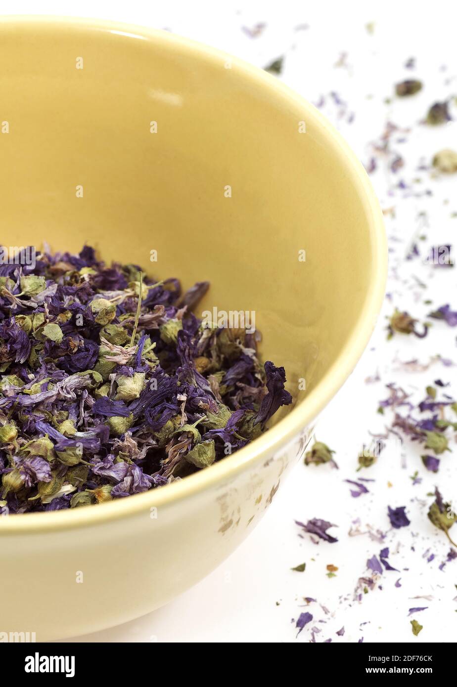 Dry Mallow Flower for Infusion Stock Photo - Alamy