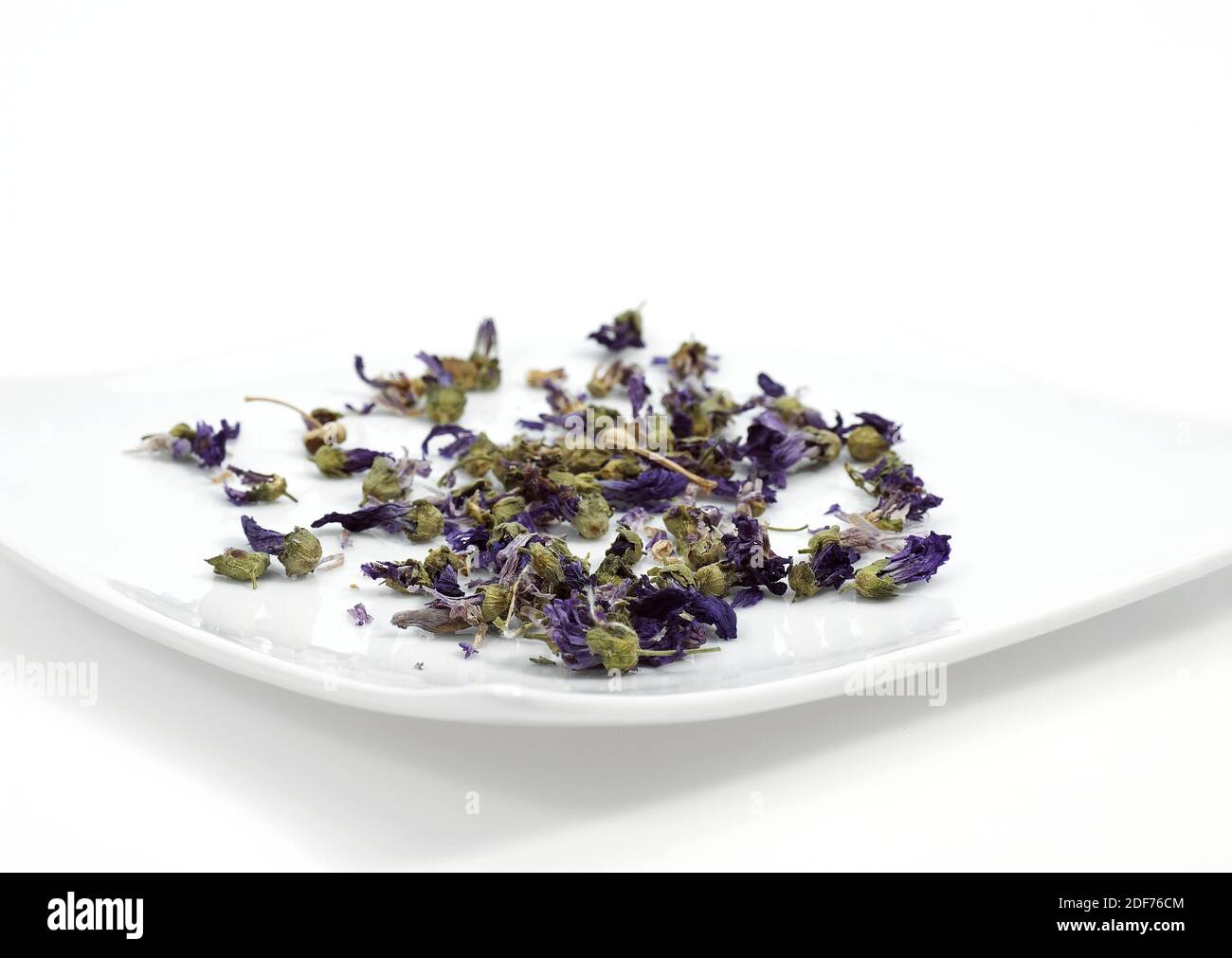 Dry Mallow Flower for Infusion Stock Photo - Alamy