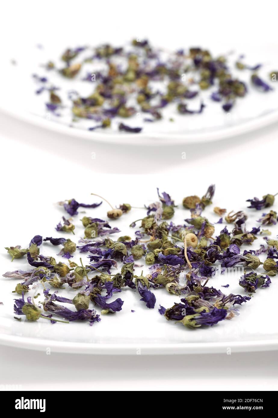 Dry Mallow Flower for Infusion Stock Photo - Alamy