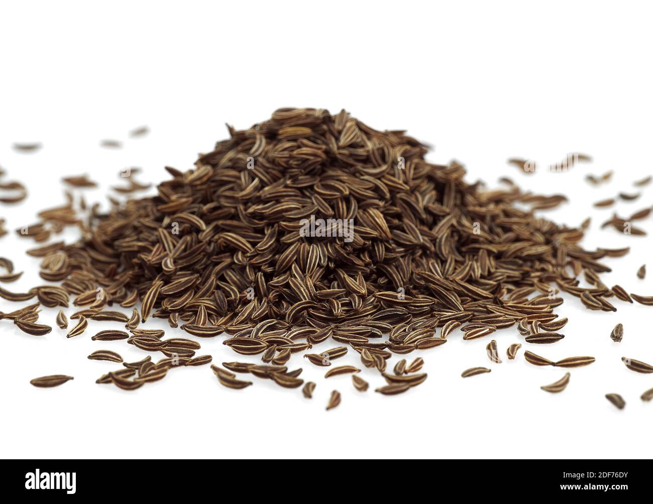 Caraway, carum carvi, Seeds against White Background Stock Photo - Alamy