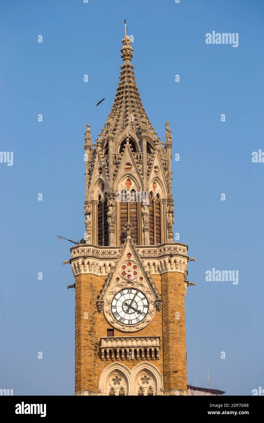 India, Maharashtra, Mumbai, University of Mumbai, Rajabai Clock Tower ... India, Maharashtra, Mumbai, University of Mumbai, Rajabai Clock Tower ...
