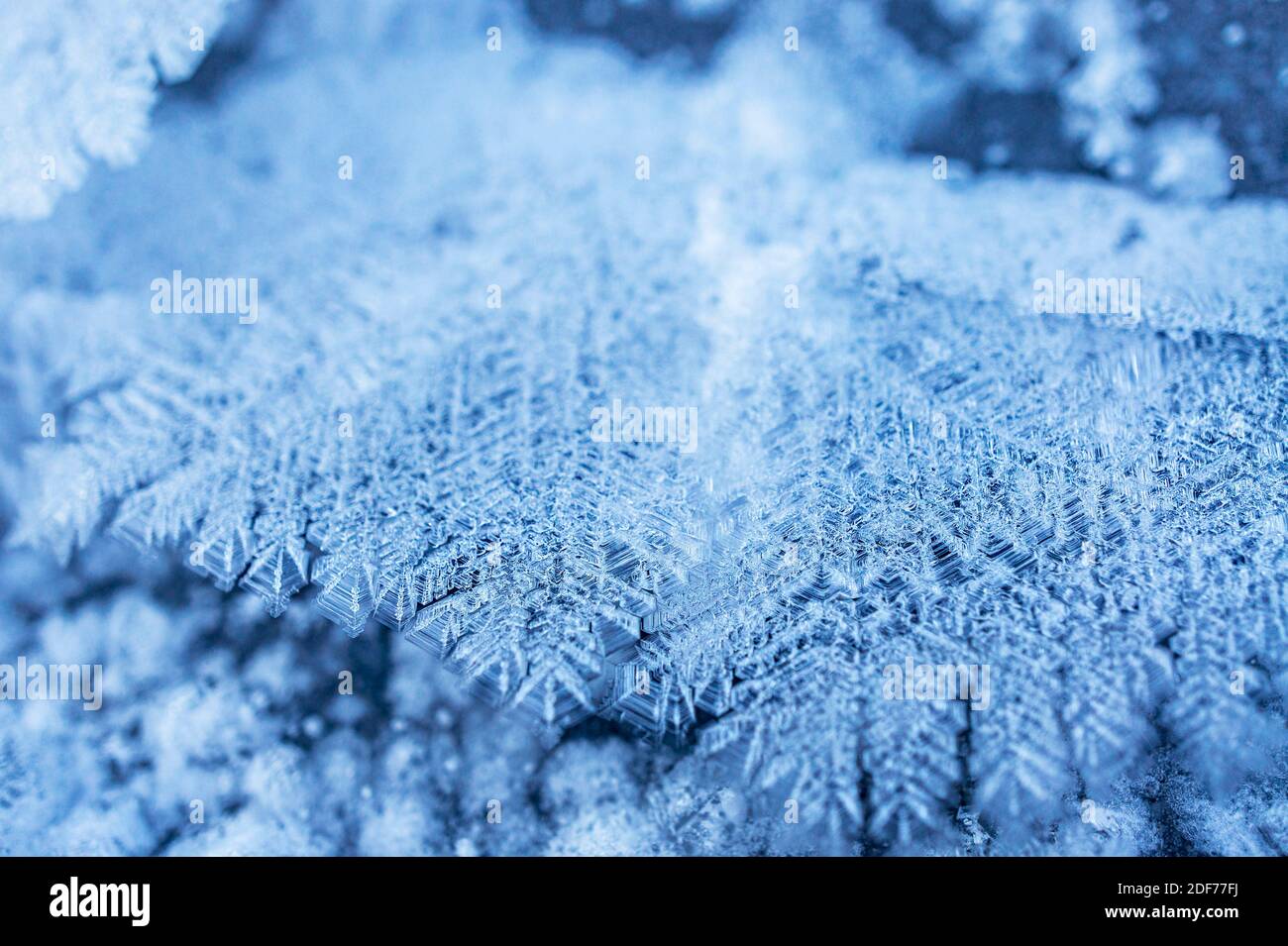 Winter or Christmas background with snow crystals close-up, selective ...