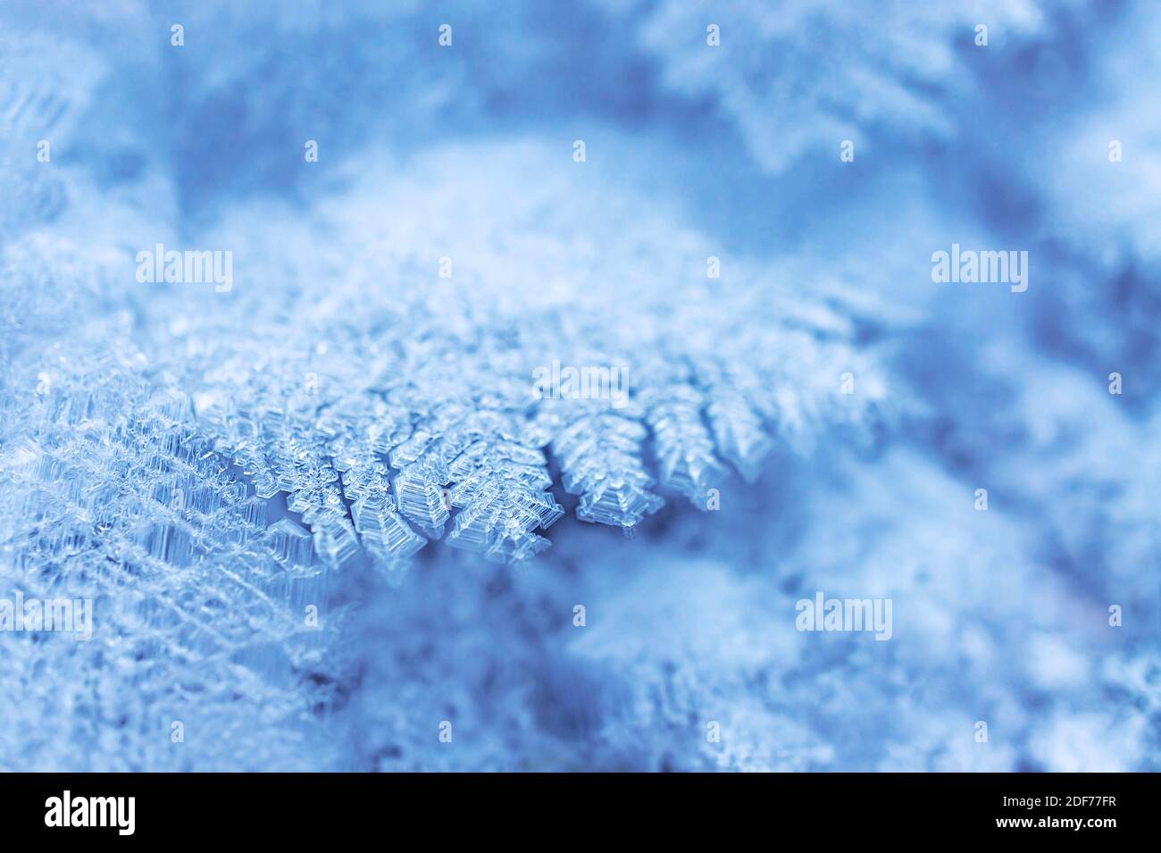 Frost crystal patterns hi-res stock photography and images - Alamy