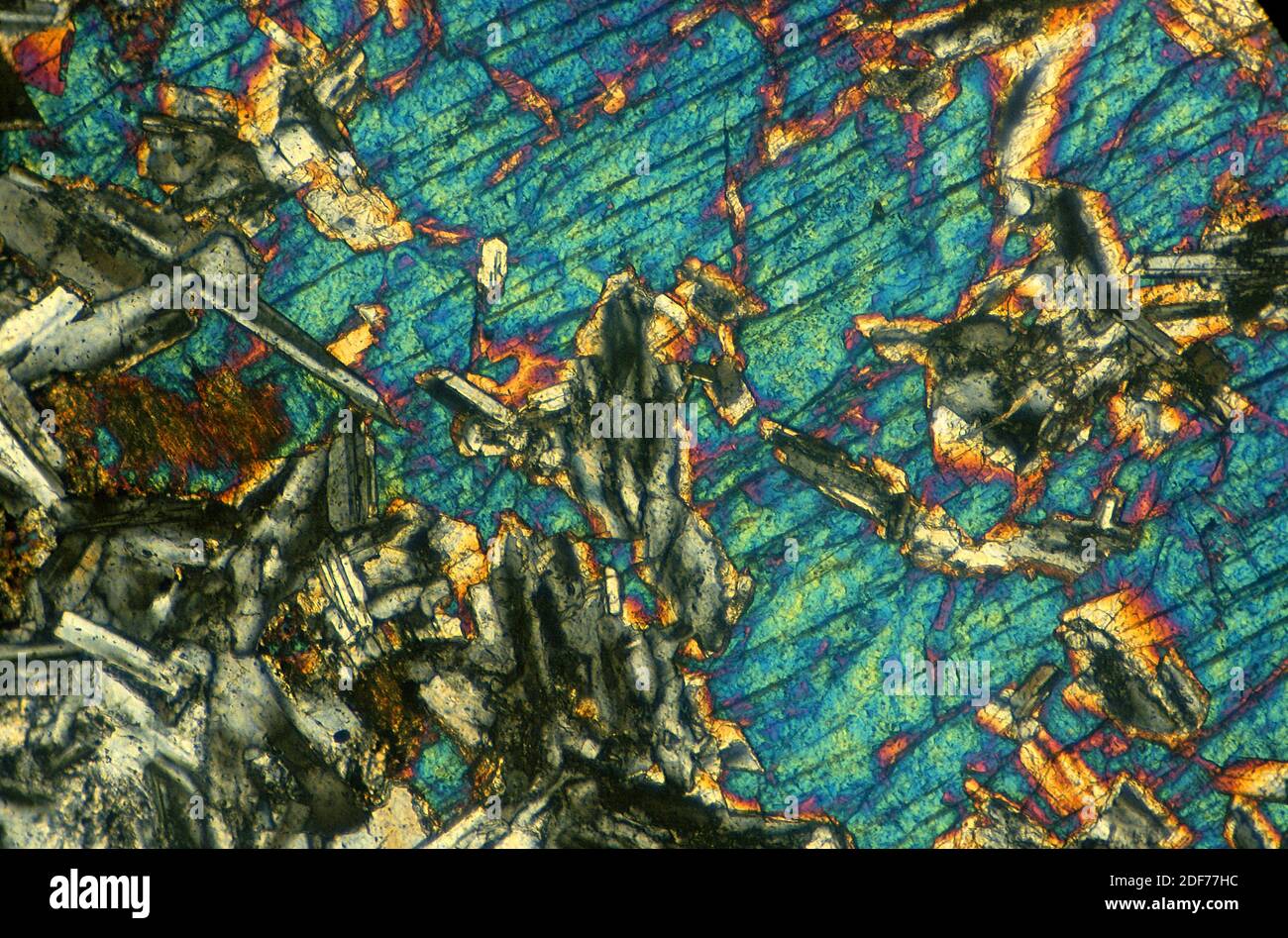 Gabbro thin hi-res stock photography and images - Alamy