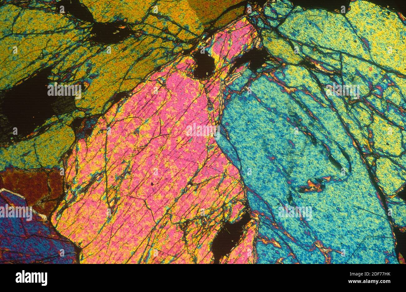 Dunite Thin Section
