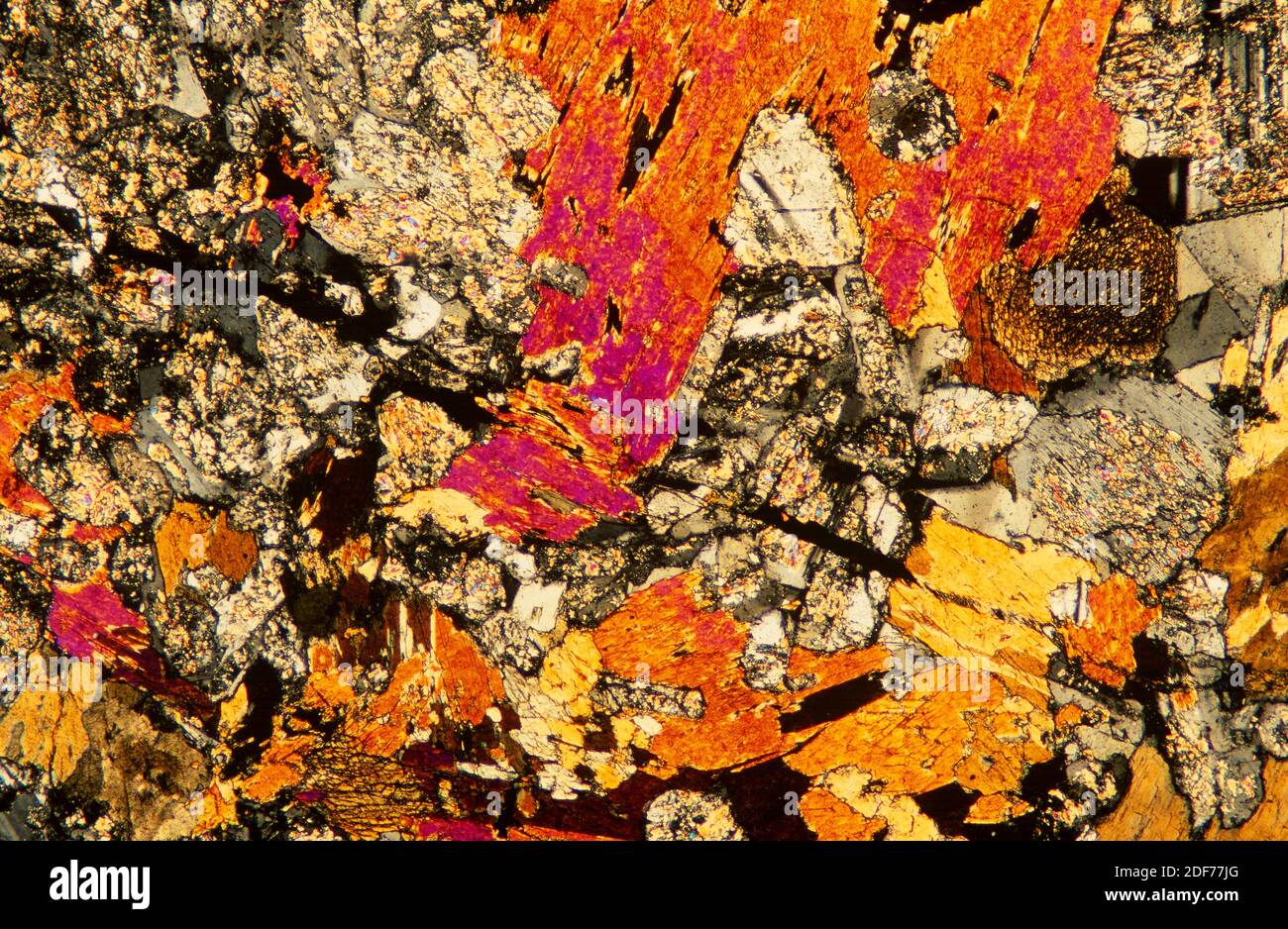 Thin Section Photomicrograph High Resolution Stock Photography and ...