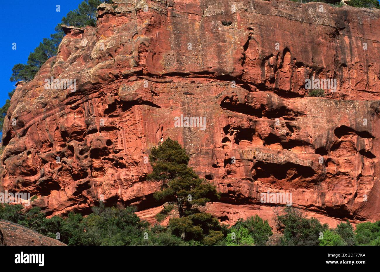 Taffoni hi-res stock photography and images - Alamy