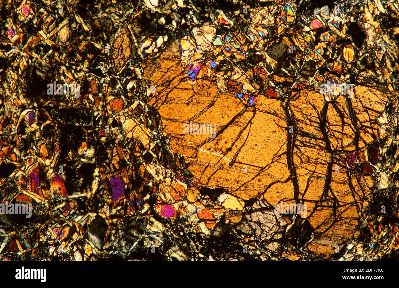 Olivine Thin Section