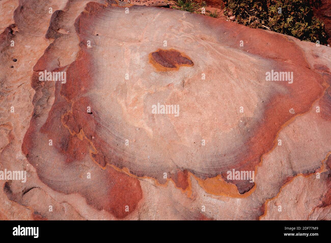 Banding High Resolution Stock Photography and Images - Alamy