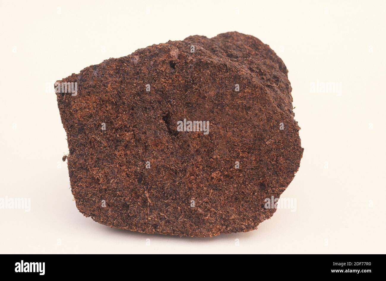 Peat Coal