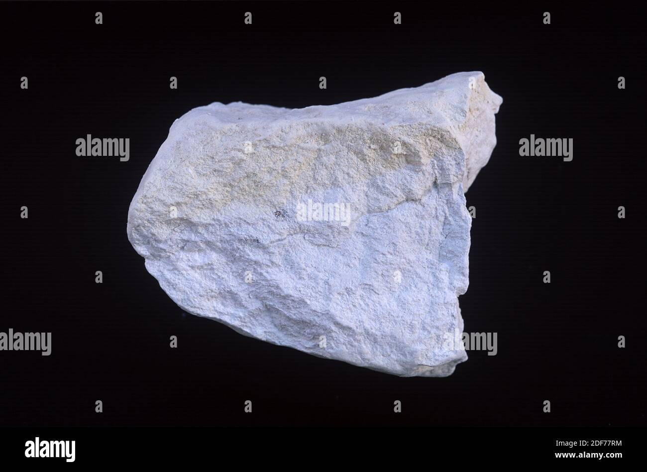 Diatoms High Resolution Stock Photography and Images - Alamy