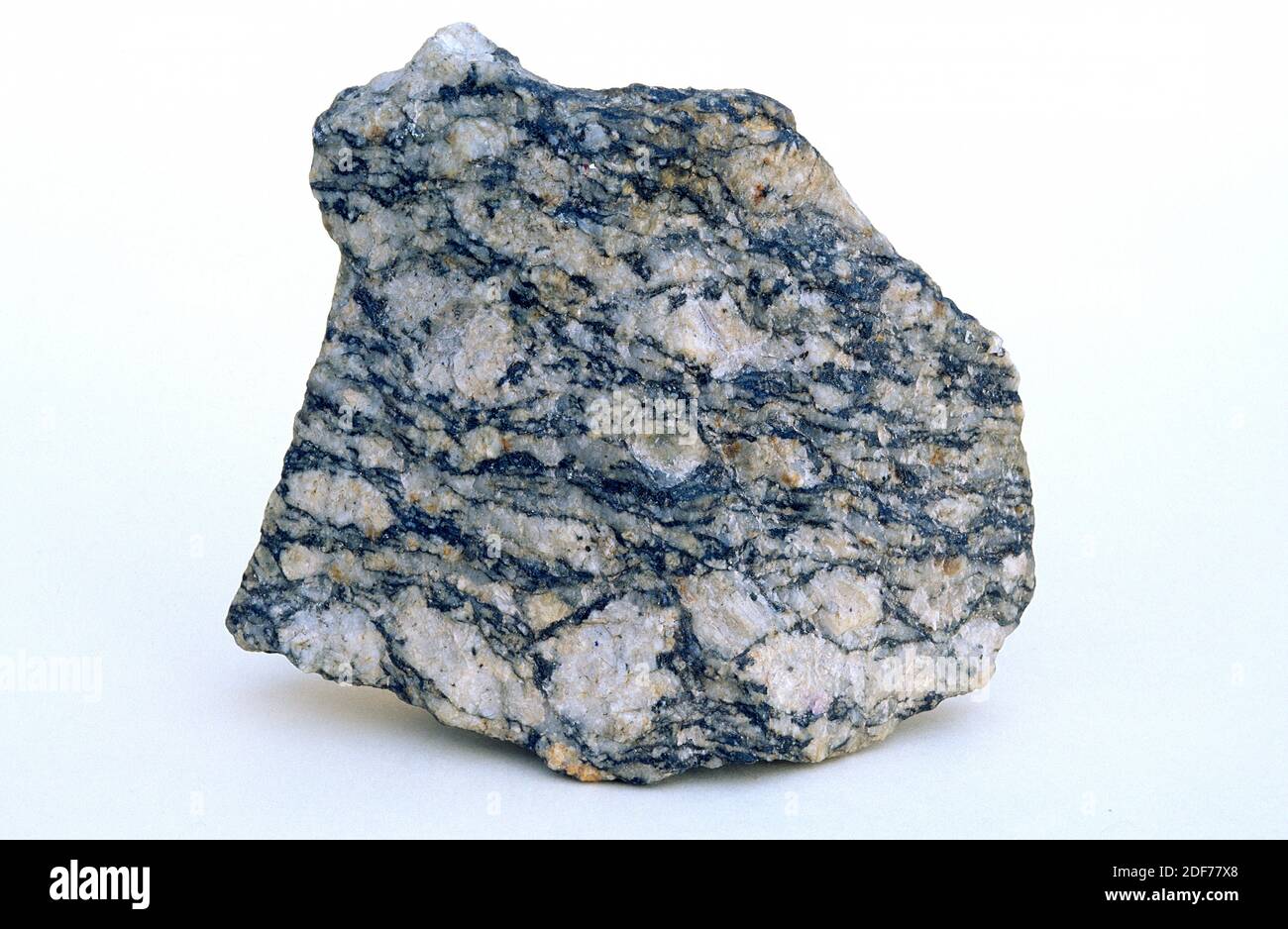 Metamorphic rock gneiss hi-res stock photography and images - Alamy