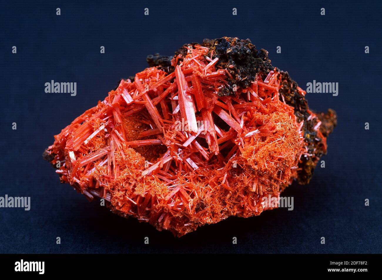 Crystallized background hi-res stock photography and images - Alamy