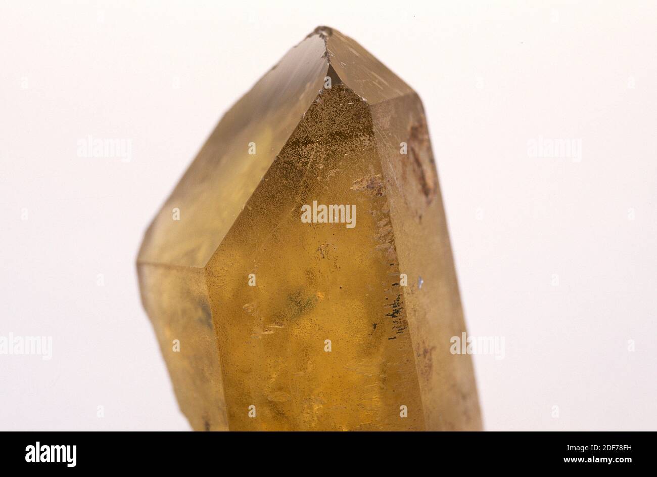 Orange and yellow color hi-res stock photography and images - Alamy