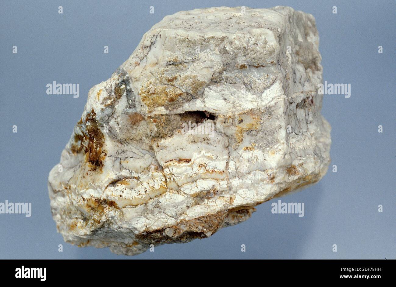 Rich in phosphorous hi-res stock photography and images - Alamy