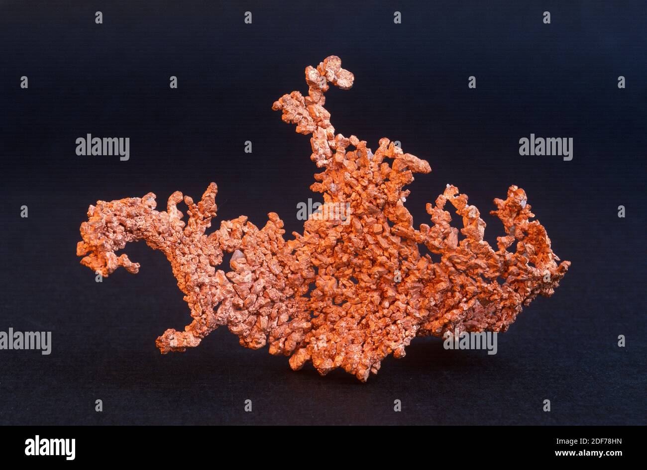 Copper black hi-res stock photography and images - Alamy
