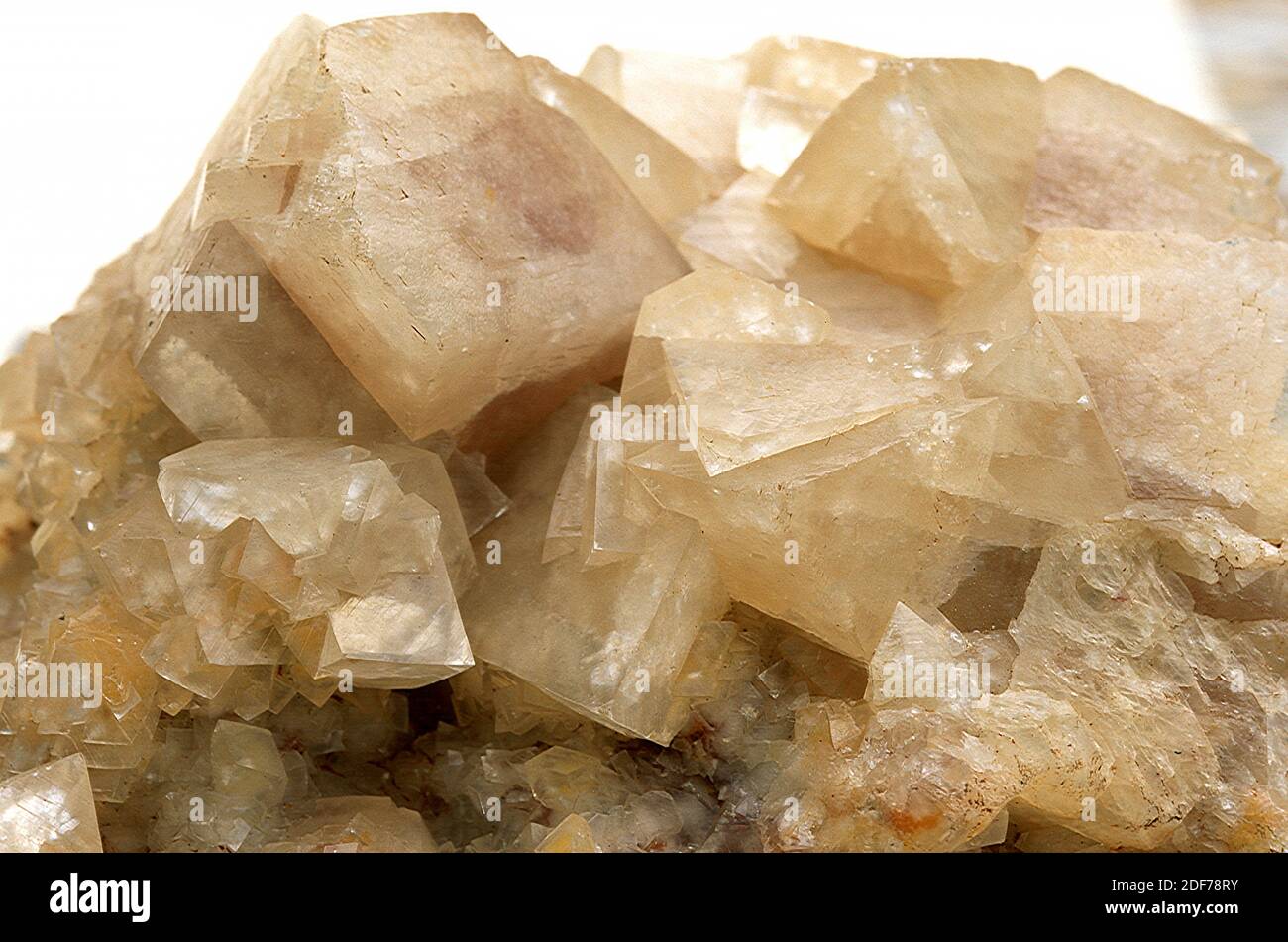 Samole hi-res stock photography and images - Alamy