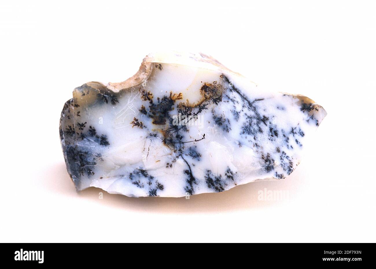 Silica Cut Out Stock Images & Pictures - Alamy