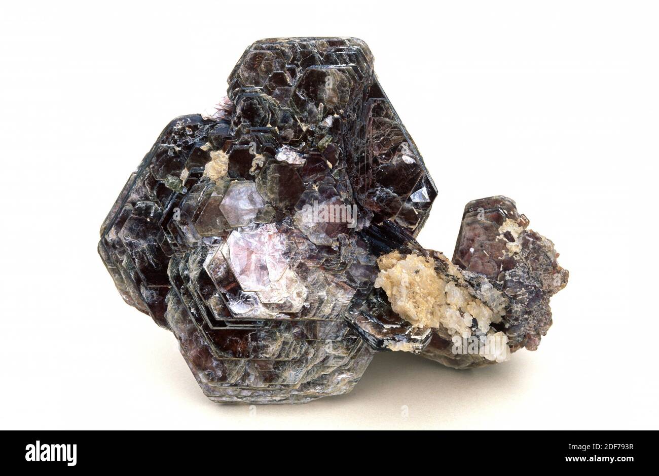 Sample Sheet High Resolution Stock Photography and Images - Alamy