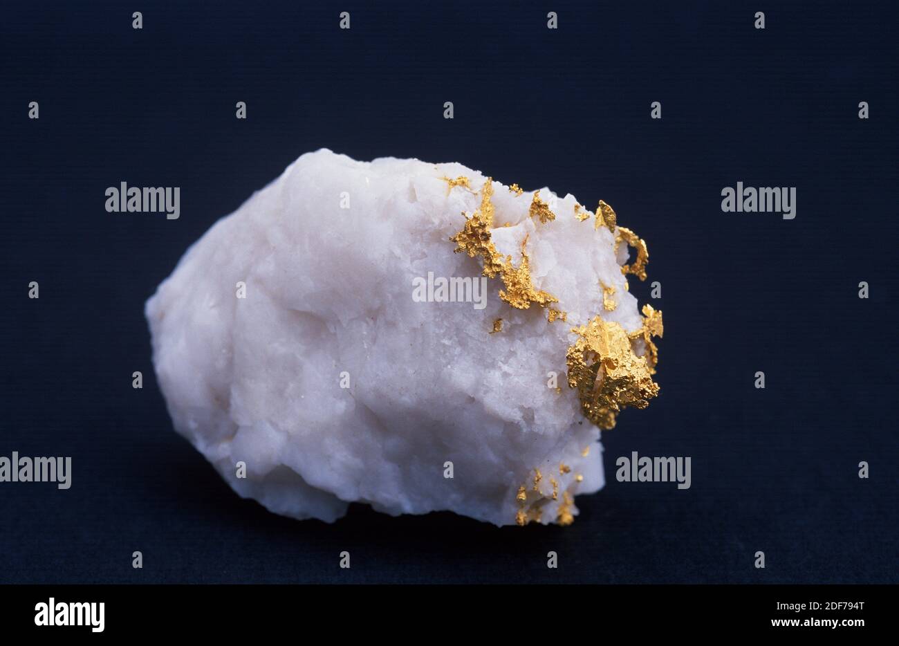 Native gold hi-res stock photography and images - Alamy