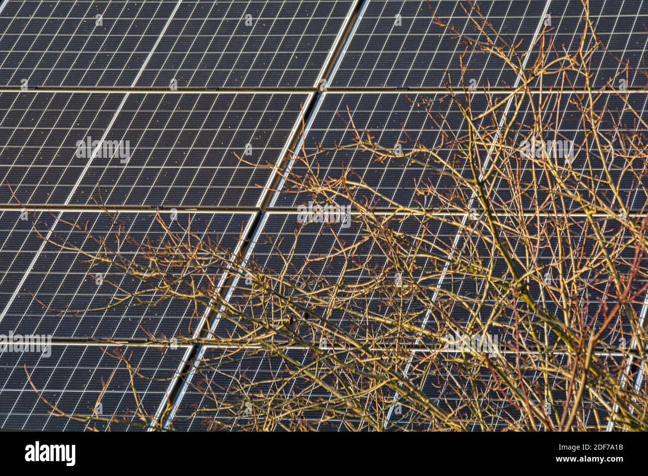 Backyard solar panels on hi-res stock photography and images - Alamy