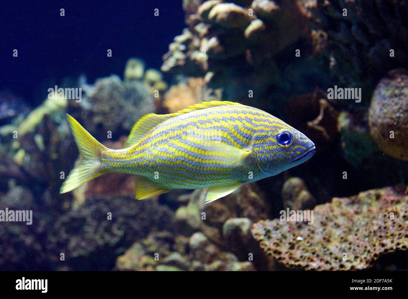 One western hi-res stock photography and images - Alamy